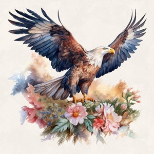 Eagle and Flowers Clipart Bundle Commercial Use Watercolor Eagle in ...