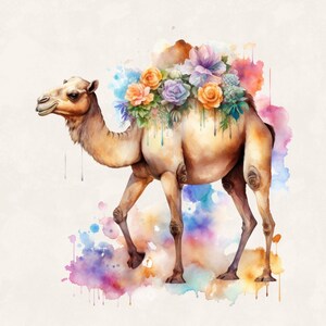 Camel and Flowers Clipart Bundle Commercial Use Watercolor Jungle Camel ...