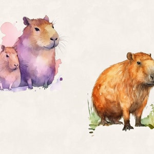Capybara Clipart Bundle Commercial Use Watercolor Digital Design Bundle ...