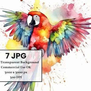 7 Watercolor Animated Macaw Illustration Nursery Art Commercial Use ...