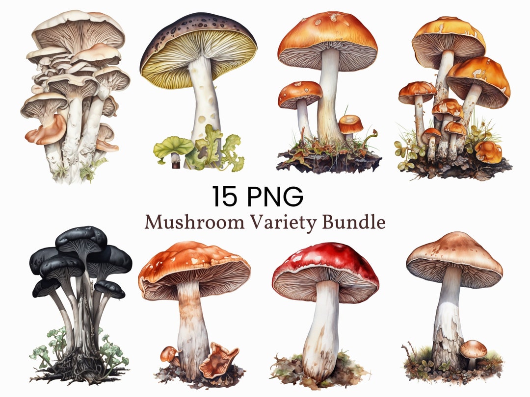 15 Woodland Mushroom Watercolor Clipart Variety Bundle, Commercial Use ...