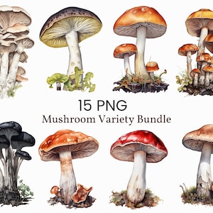 15 Woodland Mushroom Watercolor Clipart Variety Bundle, Commercial Use ...