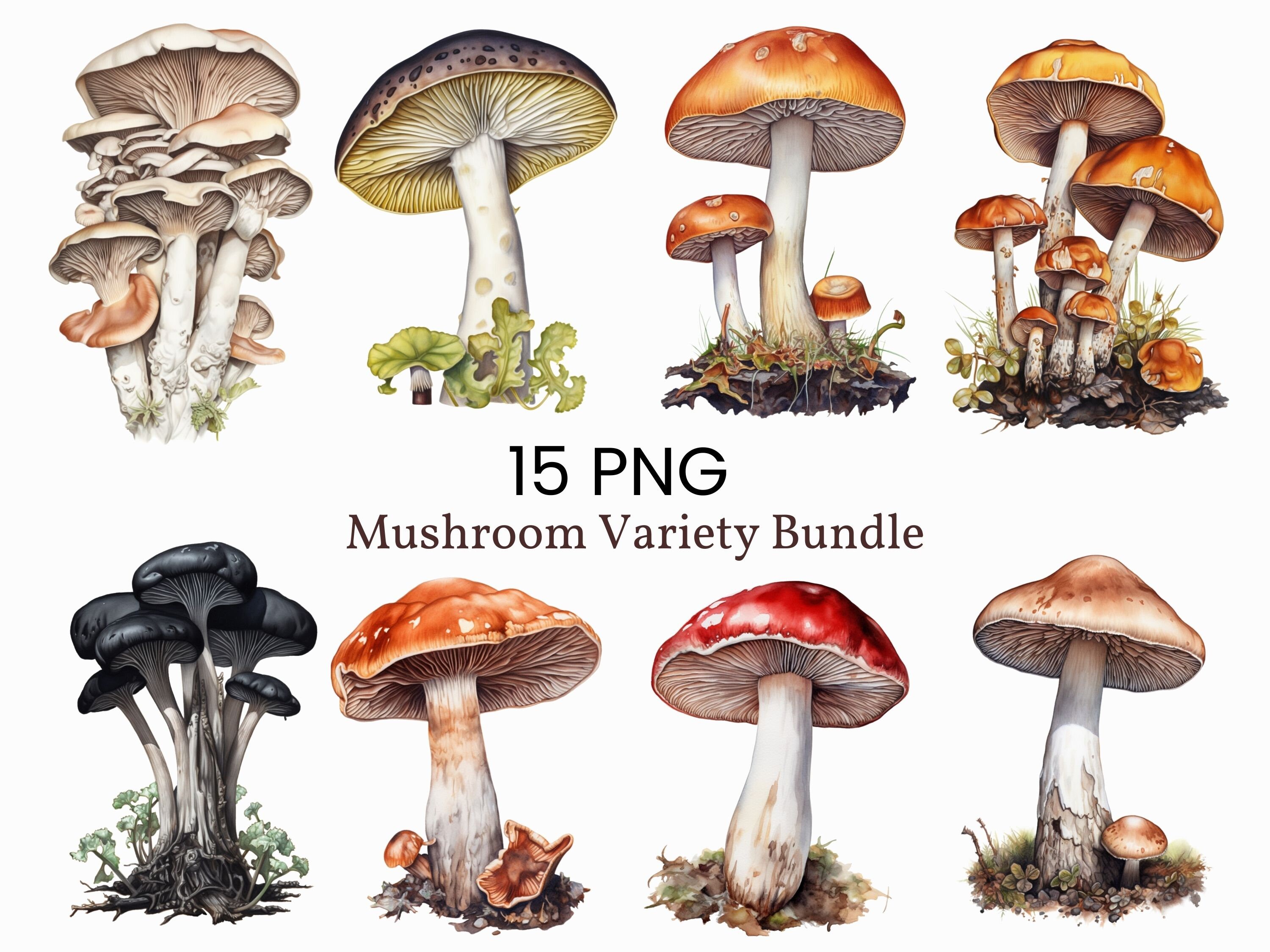 15 Woodland Mushroom Watercolor Clipart Variety Bundle - Etsy