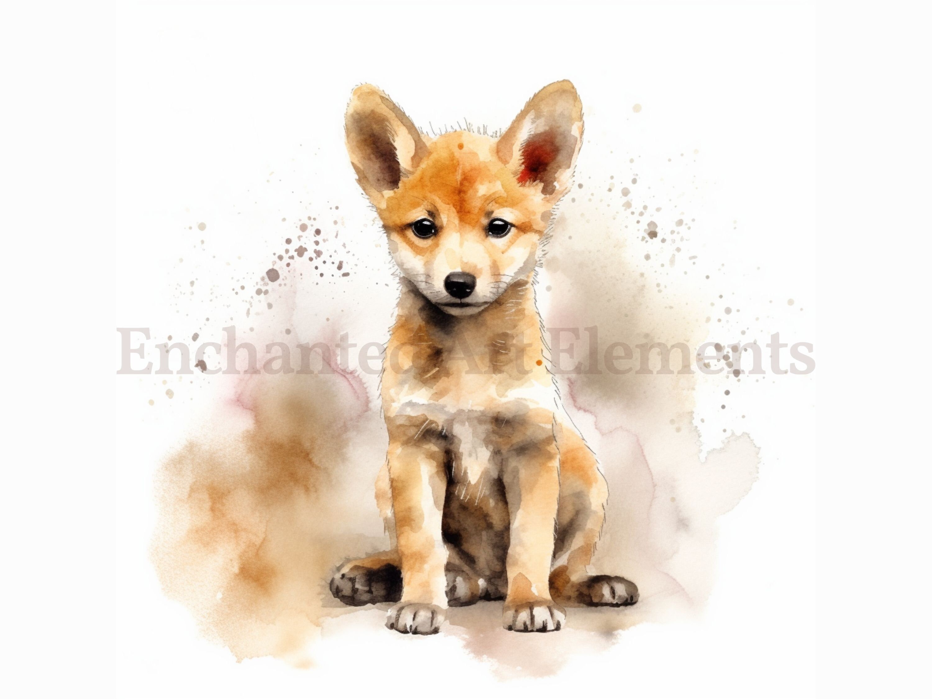Watercolor Baby Dingo Illustration Art - Nursery Decor (digital Design ...