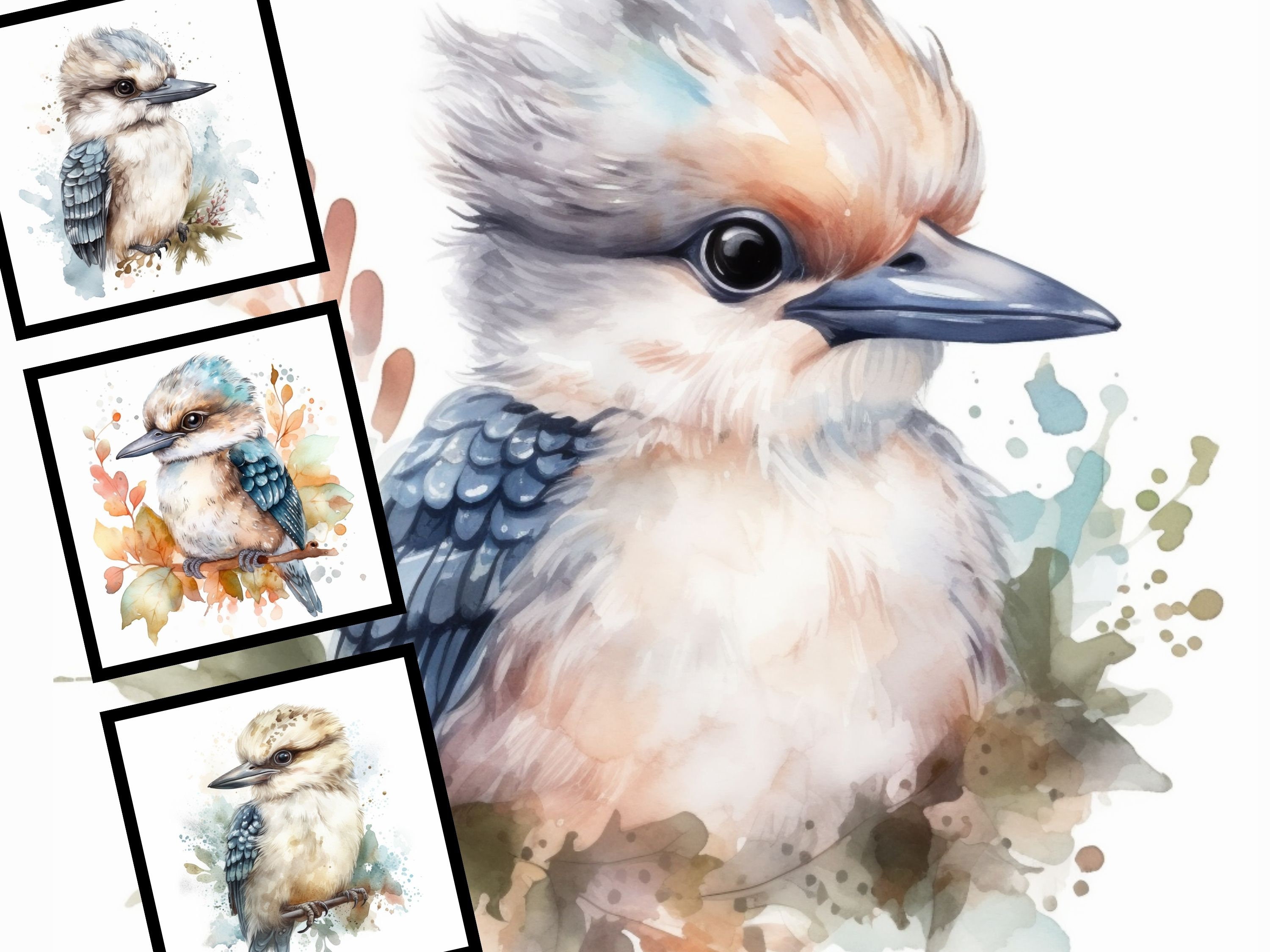 6 Watercolor Baby Kookaburra Bird Illustration Nursery Art - Etsy