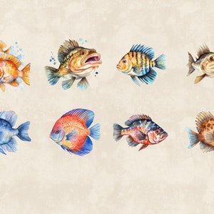 Watercolor Fish Clipart: Colorful Mega Bundle (54 PNG Files) - Etsy