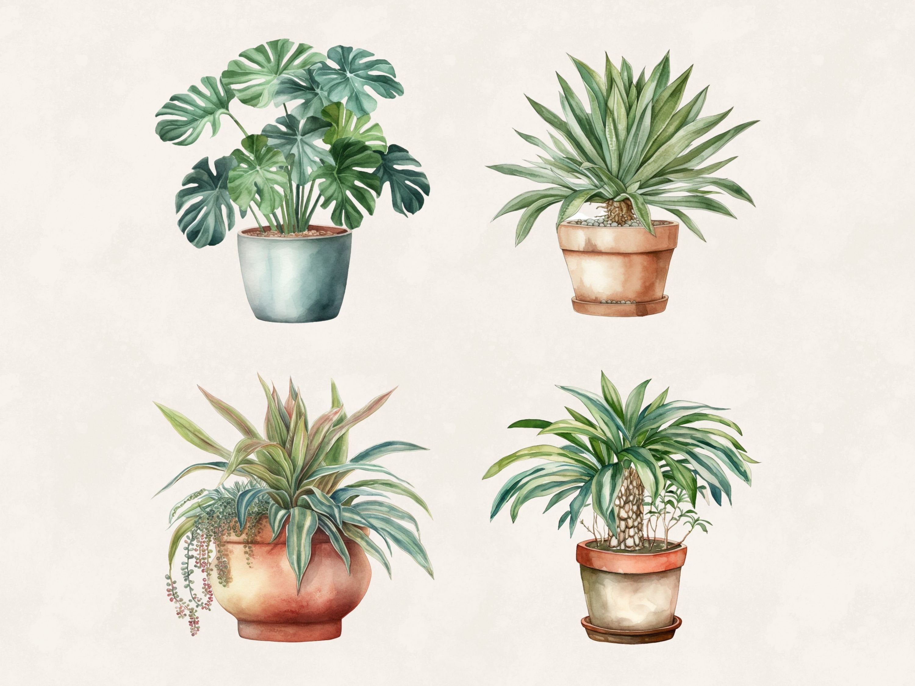 Potted Plants Watercolor Clipart Bundle Commercial Use Digital - Etsy