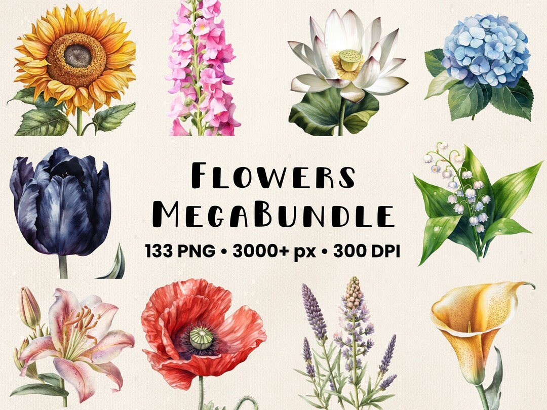 Floral Clipart Megabundle Commercial Use Digital Design Bundle ...