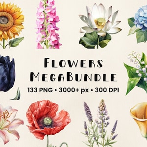 Floral Clipart Megabundle Commercial Use Digital Design Bundle ...