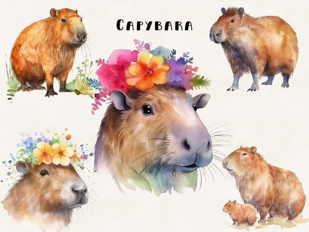 Capybara Clipart Bundle Commercial Use Watercolor Digital Design Bundle ...