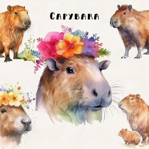 Capybara Clipart Bundle Commercial Use Watercolor Digital Design Bundle ...