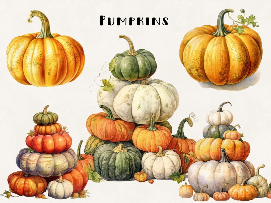 Watercolor Fall Pumpkins Clipart: Commercial Use Digital Bundle ...