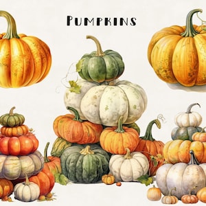 Watercolor Fall Pumpkins Clipart: Commercial Use Digital Bundle ...