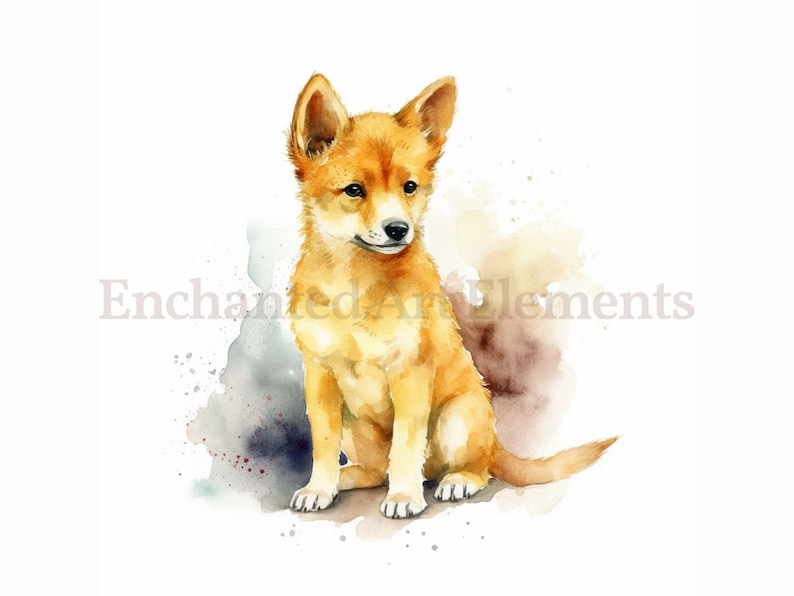 6 Watercolor Animated Baby Dingo Illustration Nursery Art - Etsy