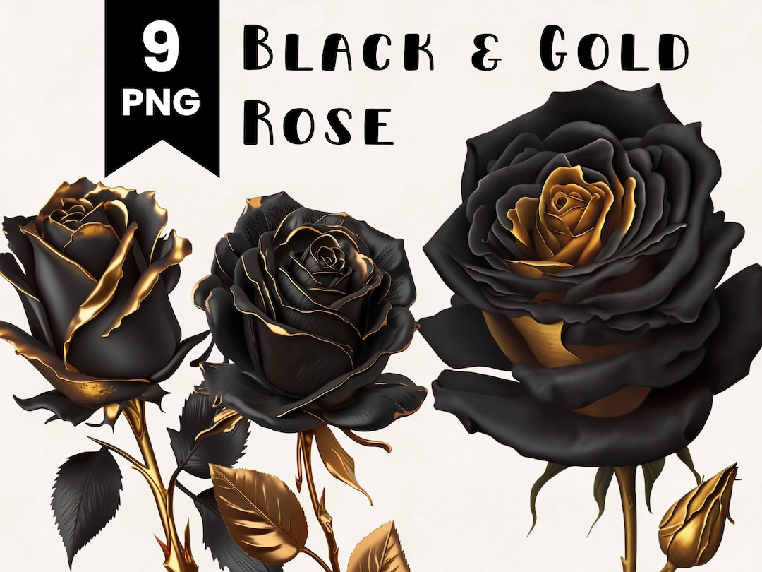 Black and Gold Rose Clipart Bundle Magic Gold Rose Fun Clip Art ...