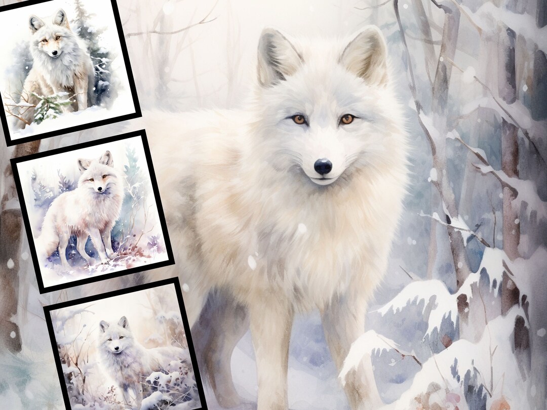 Arctic Fox Clipart Watercolor Illustration Winter Clipart Commercial ...