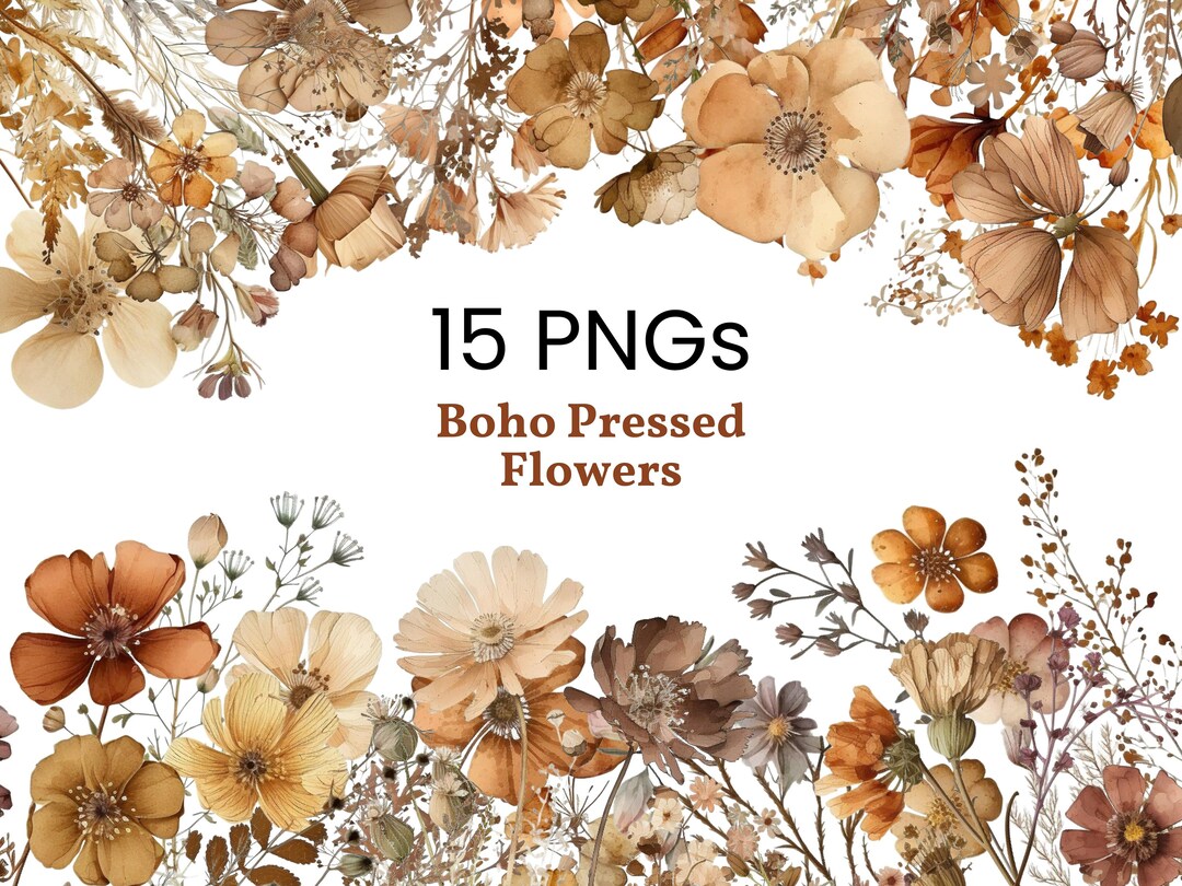 Boho Pressed Flower Clip Art Dried Flower Watercolor Illustration ...