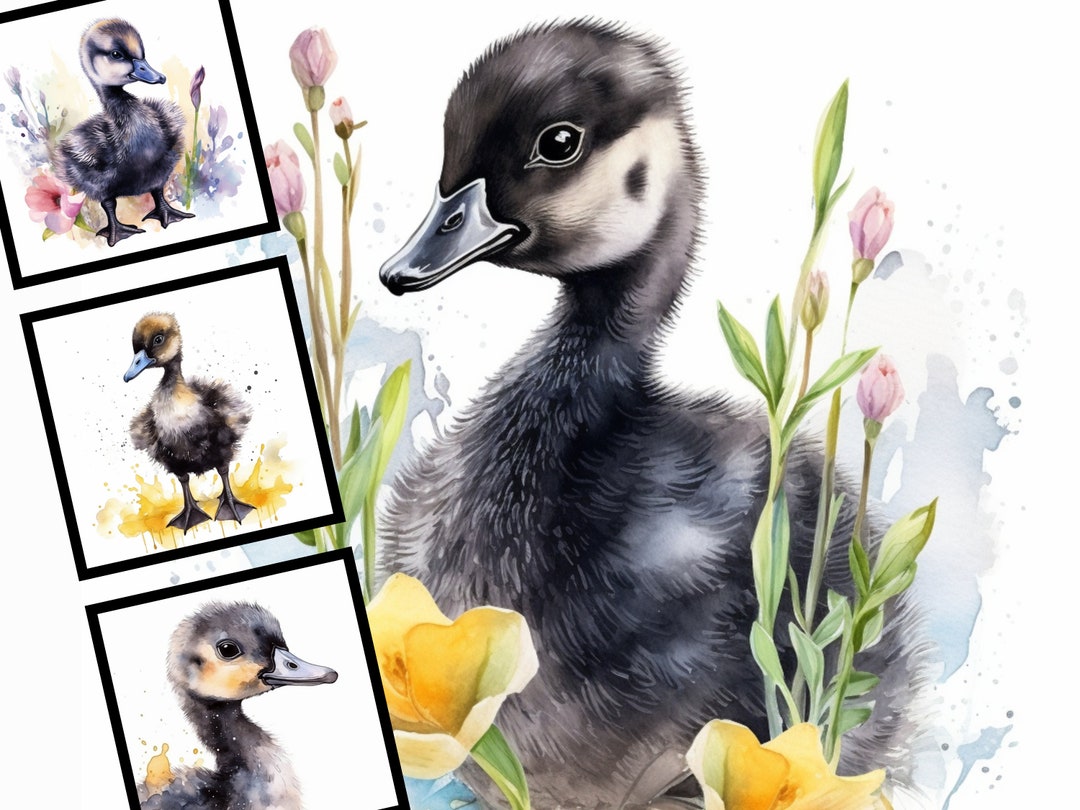 Ugly Duckling Clipart Watercolor Commercial Use Digital Design Bundle ...