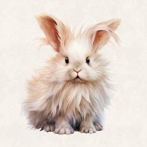 Angora Rabbit Clipart Watercolor Illustration Commercial Use Digital ...
