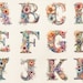Vintage Alphabet Clipart Mega Bundle Pastel Watercolor - Etsy