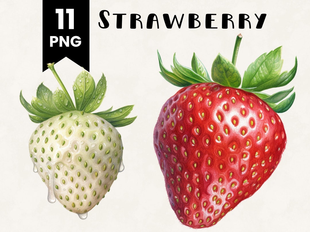 Strawberry Clipart Bundle Commercial Use Watercolor Strawberry Digital ...