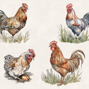 Ultimate Chicken Clipart Bundle Watercolor Commercial Use Animated ...