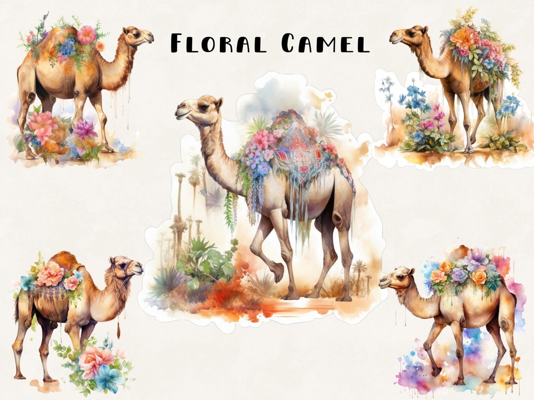 Camel and Flowers Clipart Bundle Commercial Use Watercolor Jungle Camel ...