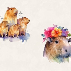 Capybara Clipart Bundle Commercial Use Watercolor Digital Design Bundle ...