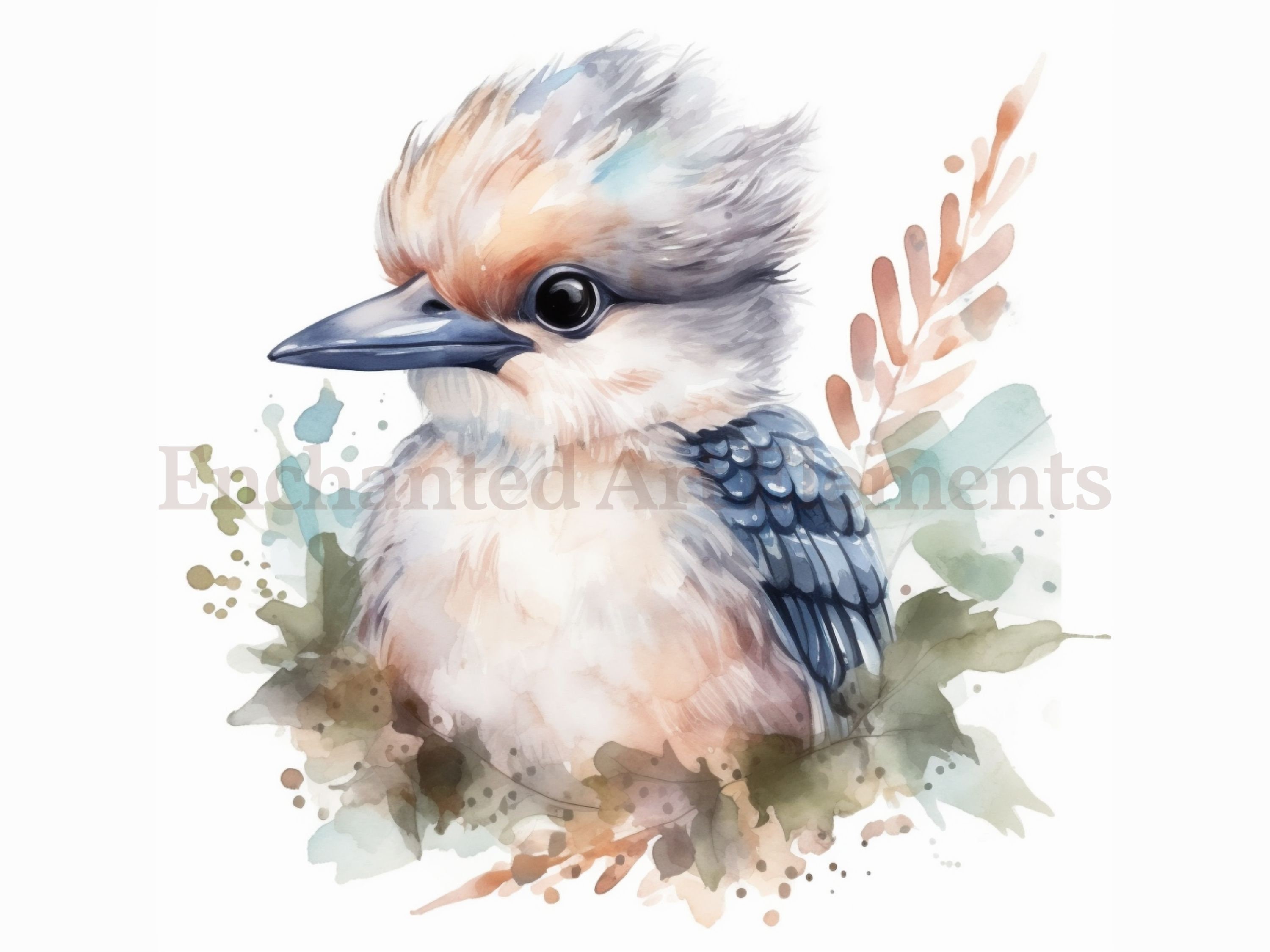 6 Watercolor Baby Kookaburra Bird Illustration Nursery Art - Etsy