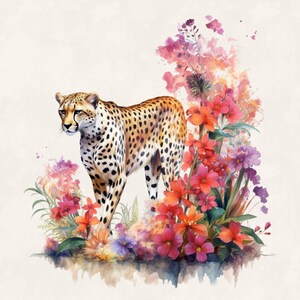 Cheetah Clipart Bundle Commercial Use Watercolor Cheetah in Field of ...