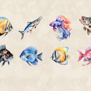 Watercolor Fish Clipart: Colorful Mega Bundle (54 PNG Files) - Etsy