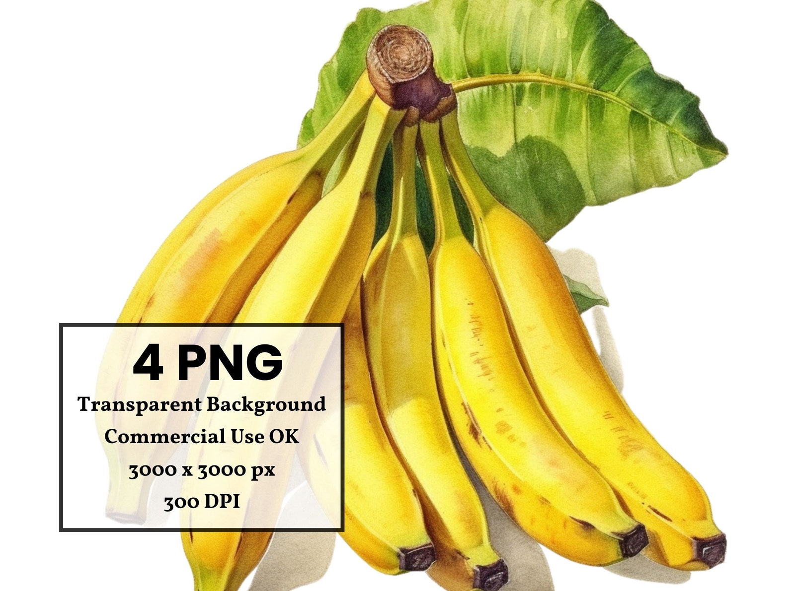 Bananas Clipart Bundle Commercial Use Watercolor Banana Fruit Digital ...