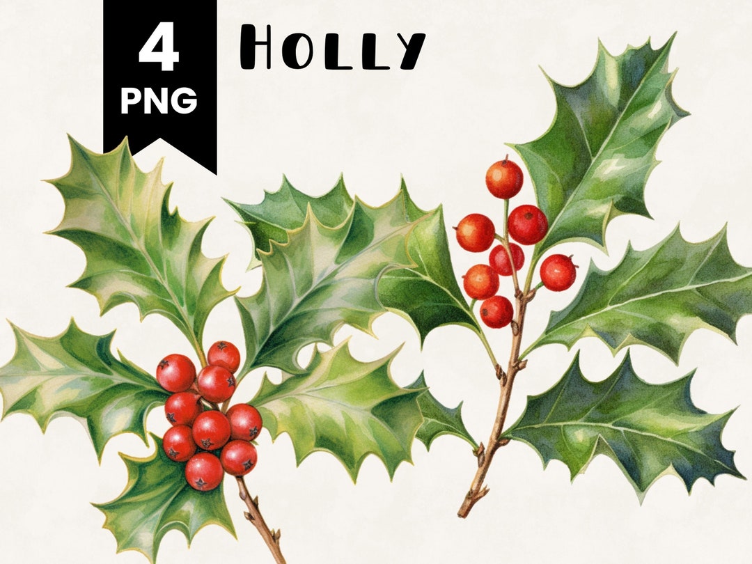 Holly Clipart Bundle Commercial Use Watercolor Holly Leaf Digital ...