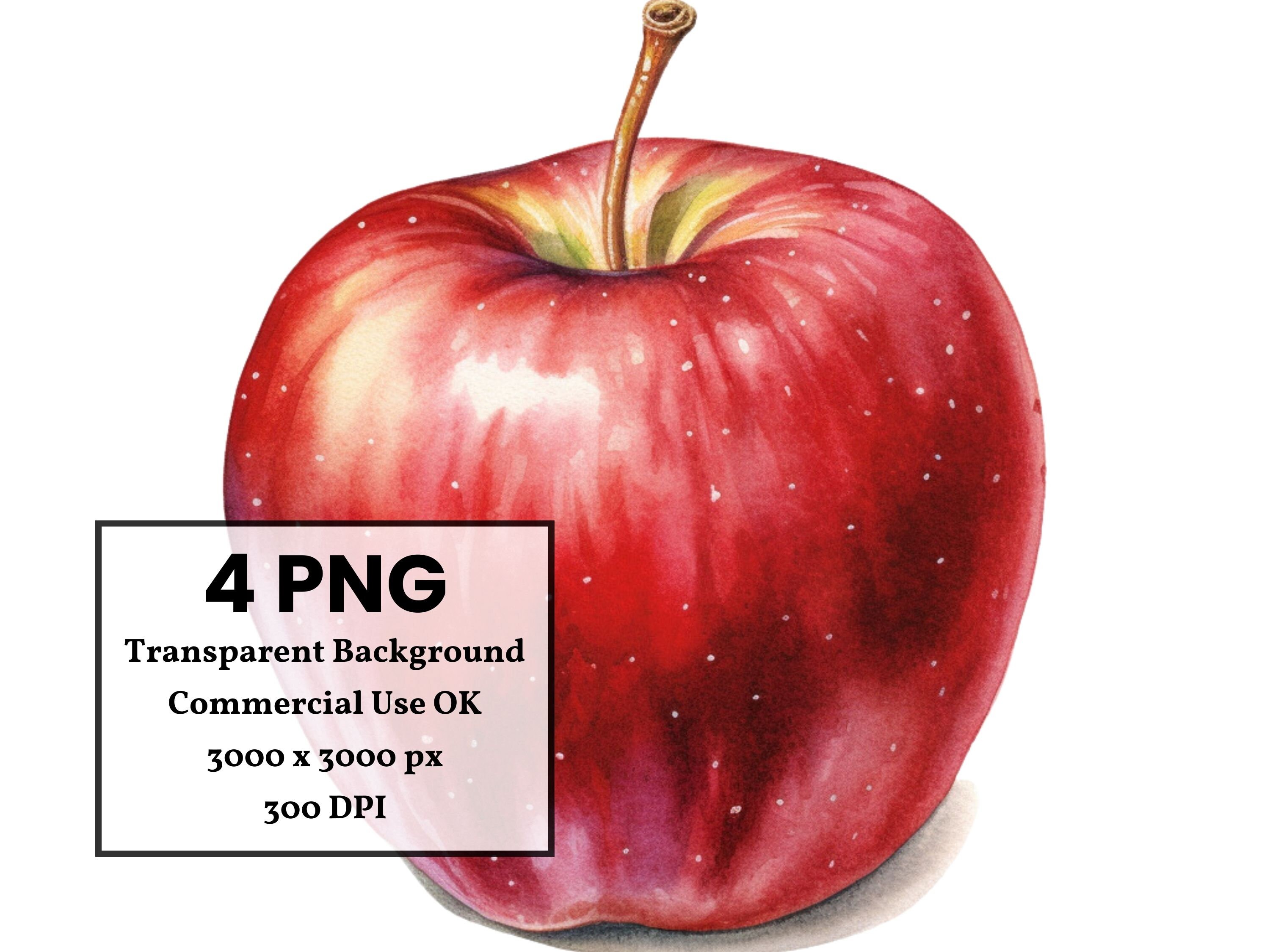 Apple Clipart Bundle Commercial Use Watercolor Apples Digital - Etsy