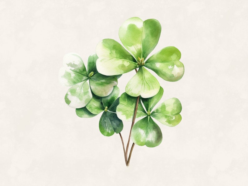 Four Leaf Clover Clipart Bundle Commercial Use Watercolor Four - Etsy