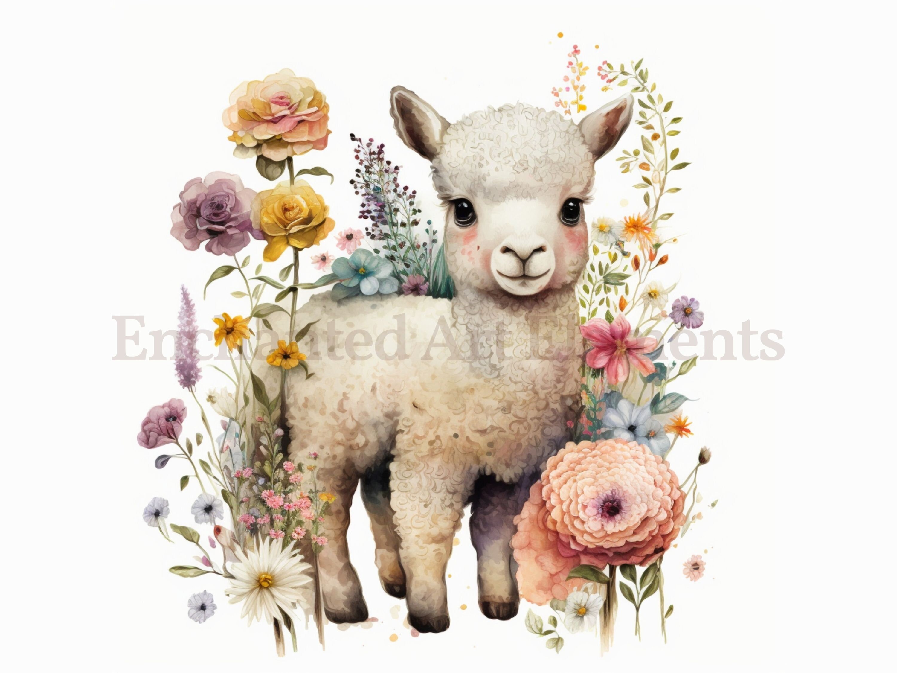 Alpaca Watercolor Illustration Wildflower Clip Art Floral - Etsy