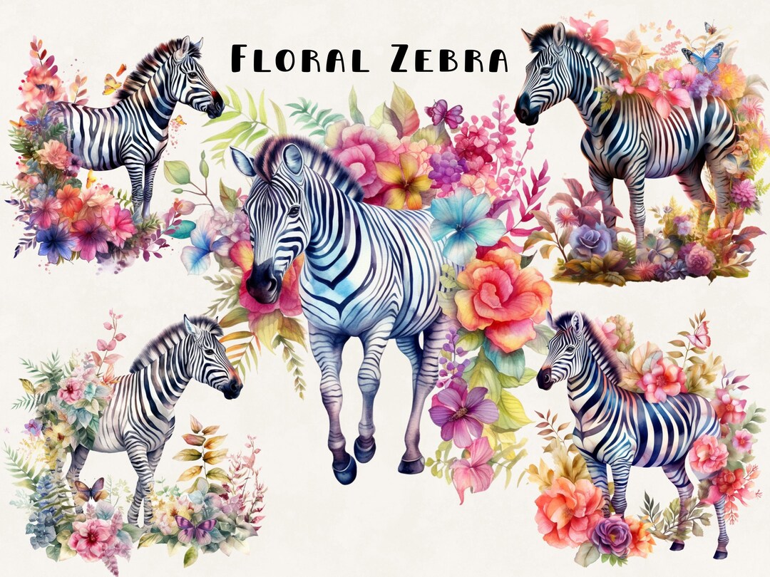 Zebra and Flowers Clipart Bundle Commercial Use Watercolor Jungle Zebra ...