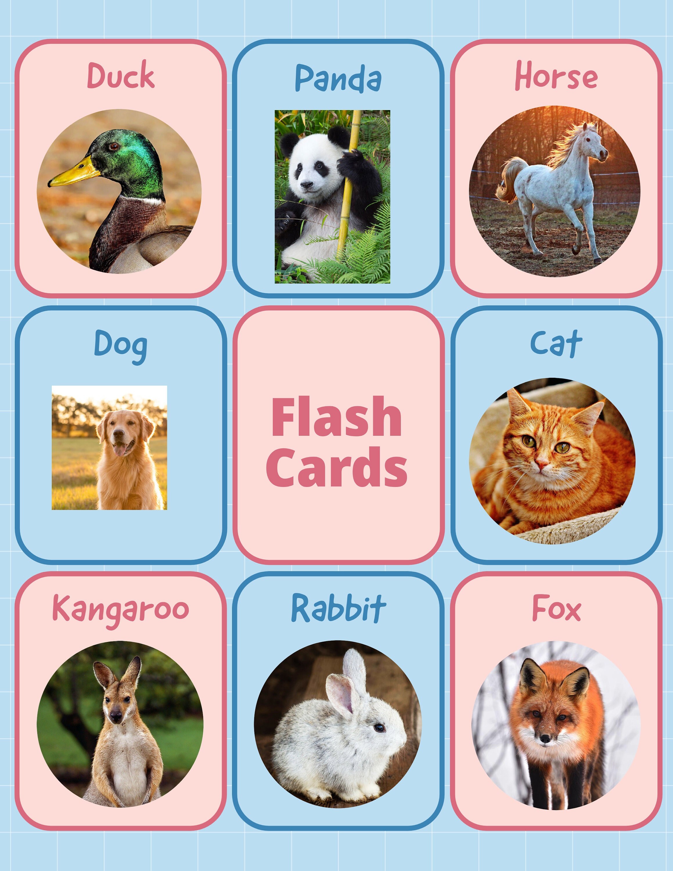 Flashcard Template for Kids From 2-8 Age - Etsy