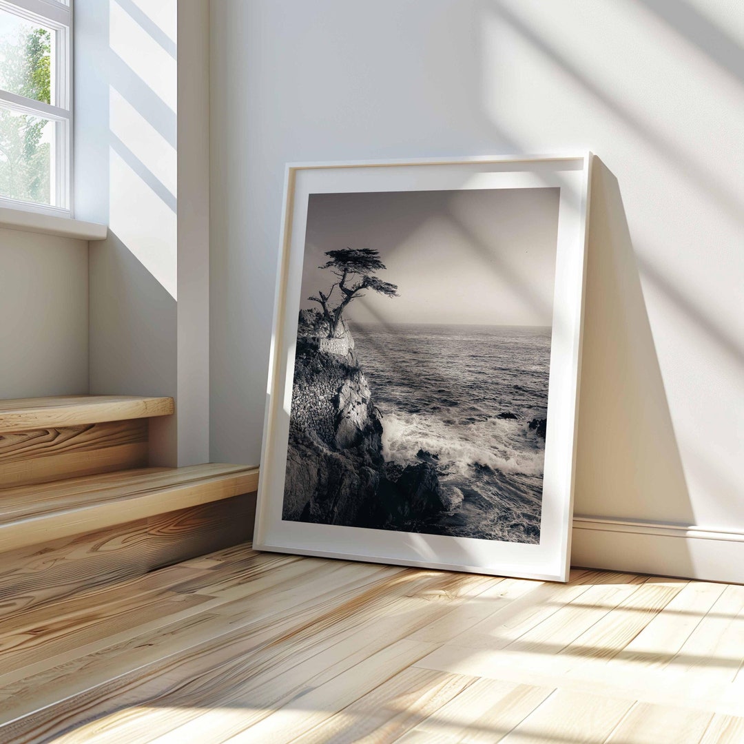 Lone Cypress Pebble Beach Sunset: Black and White Coastal Photo Art - Etsy