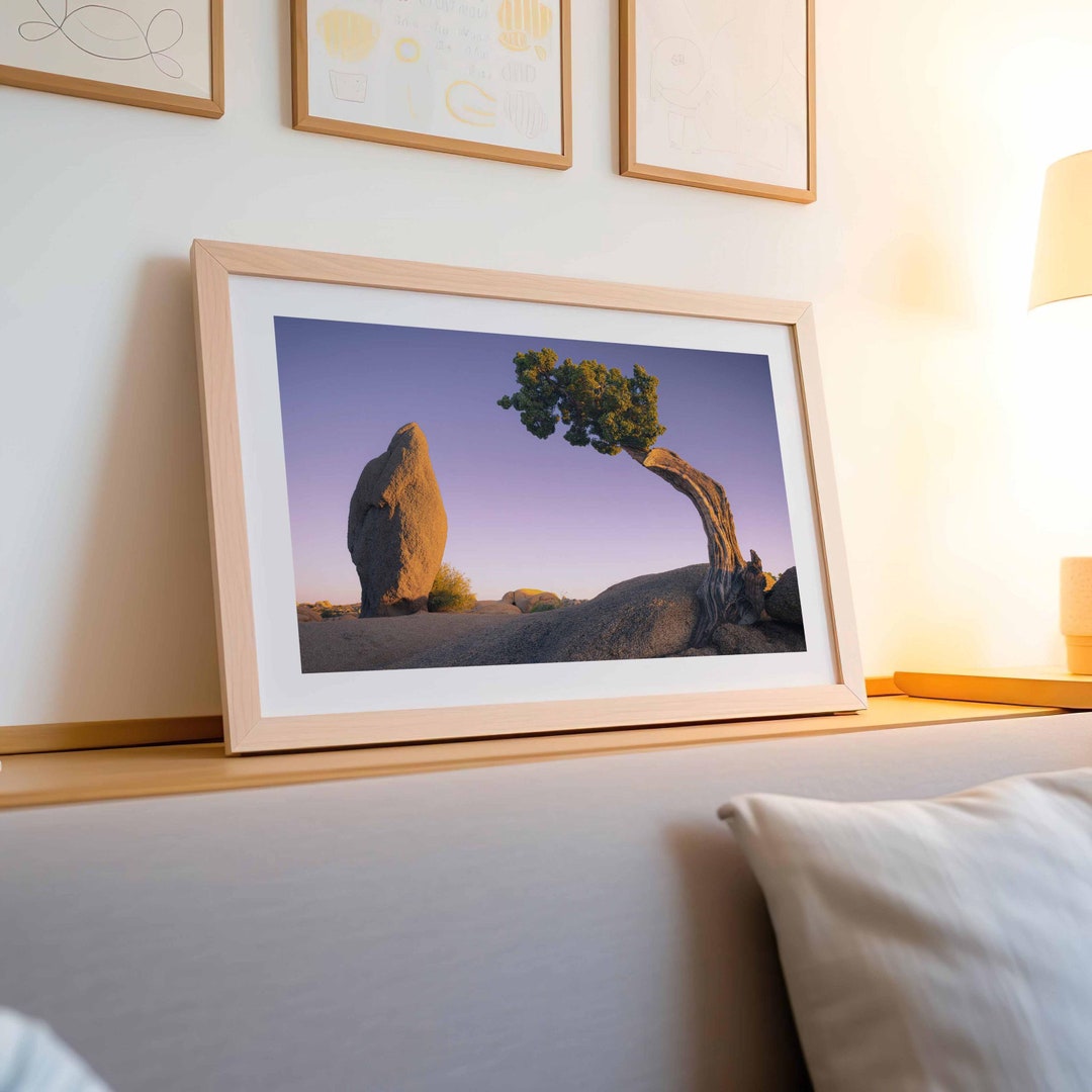 Joshua Tree Juniper and Penguin Rock Photography Print - Desert Wall ...