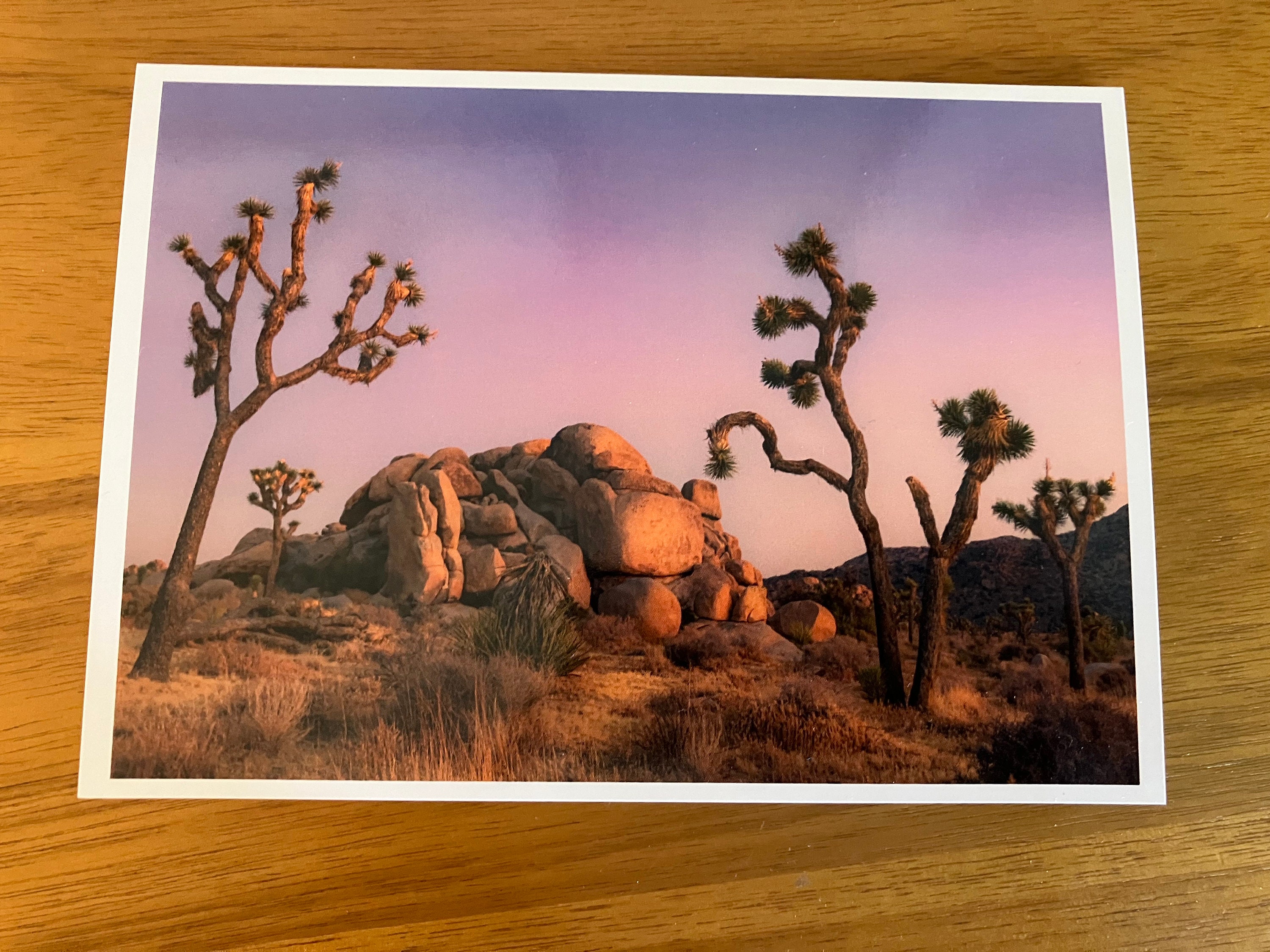 Joshua Tree Greeting Cards Set of Five 5x7 Blank Cards Photography From ...