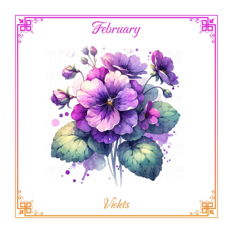 February Birth Month Flower Watercolour Clipart PNG SVG Image Violets ...
