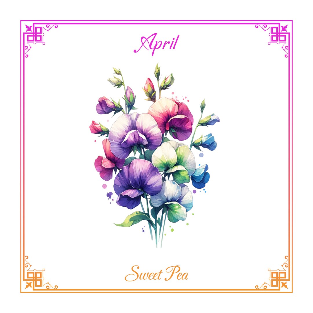 April Birth Flower Clipart: Watercolor Sweet Pea Bouquet (PNG, SVG ...