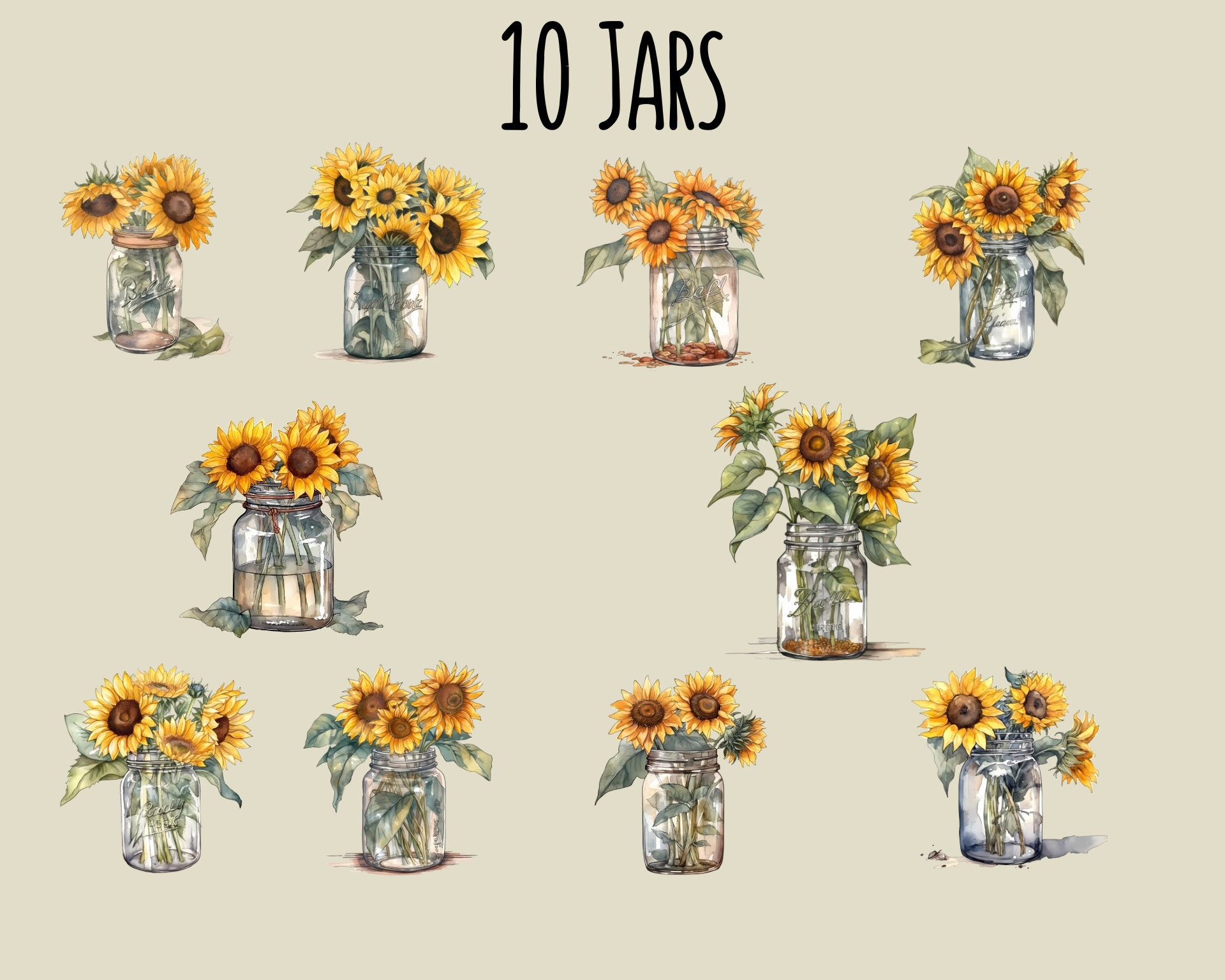 50 Sunflowers Clipart Bundle Watercolor Sunflower Transparent PNG Fall ...