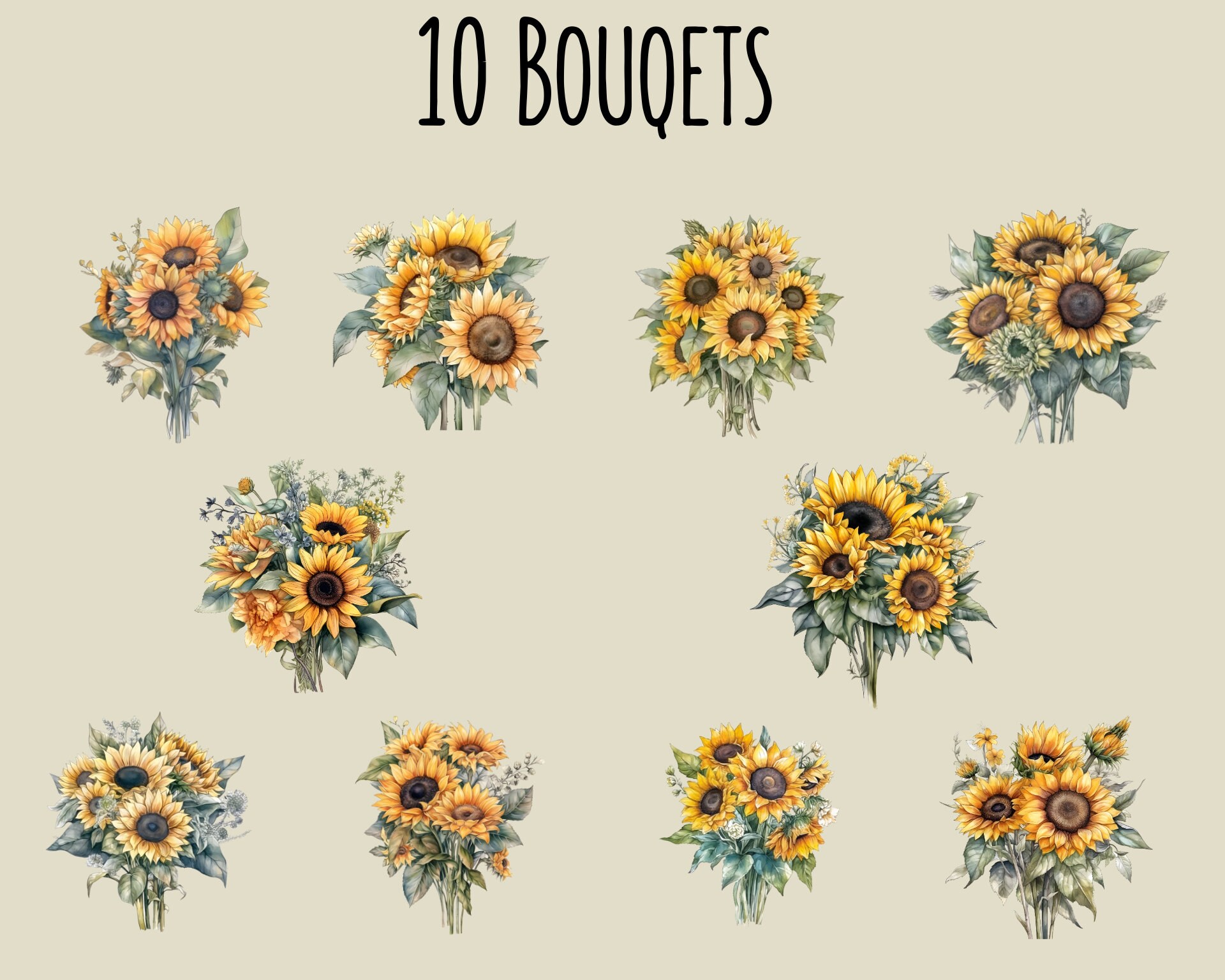 50 Sunflowers Clipart Bundle Watercolor Sunflower Transparent PNG Fall ...