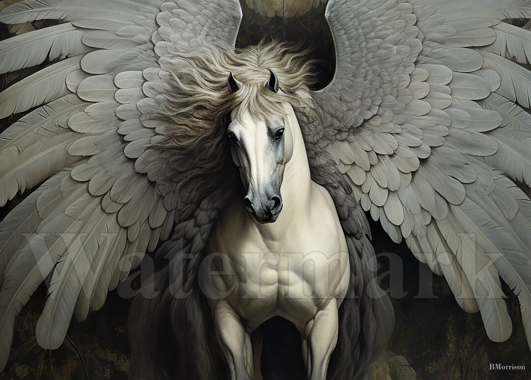 Pegasus Print 5 X 7-inch Art Card flat or a 10 X 14-inch-high Gloss ...