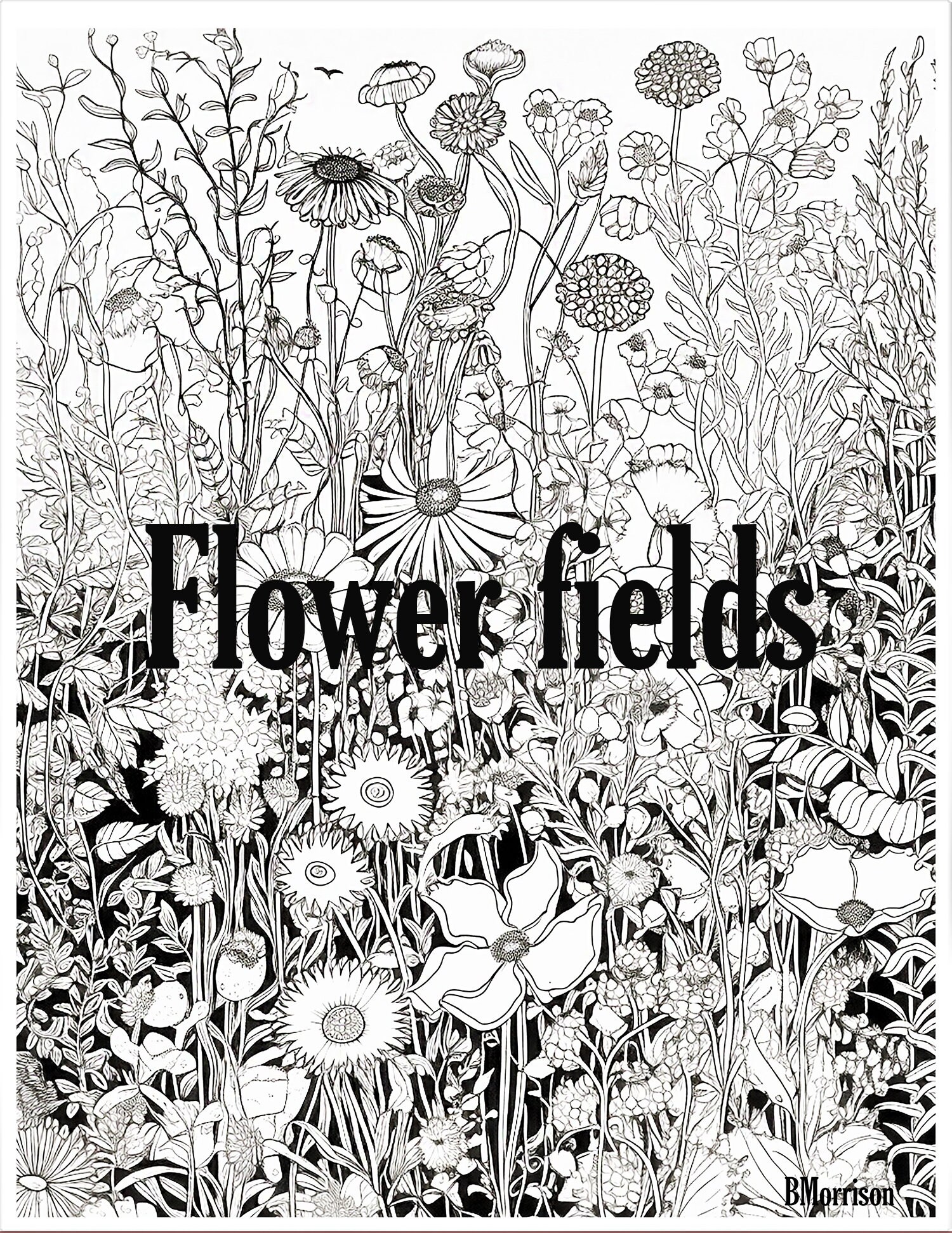 Flower Fields 1 Instant Digital Download, 4 Adult Coloring Pages, Black ...
