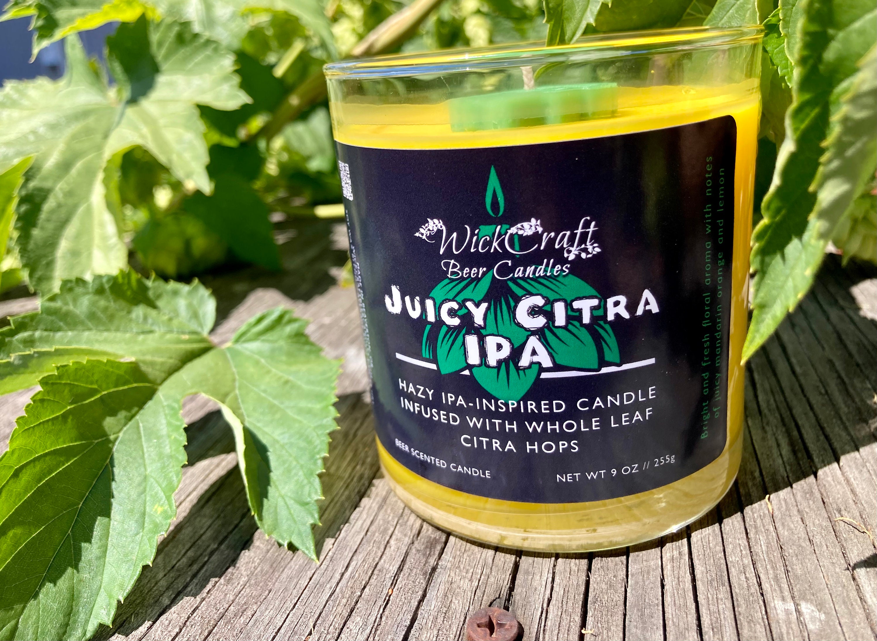 Juicy Citra IPA Candle: Craft Beer Scented, Hop Infused - Etsy