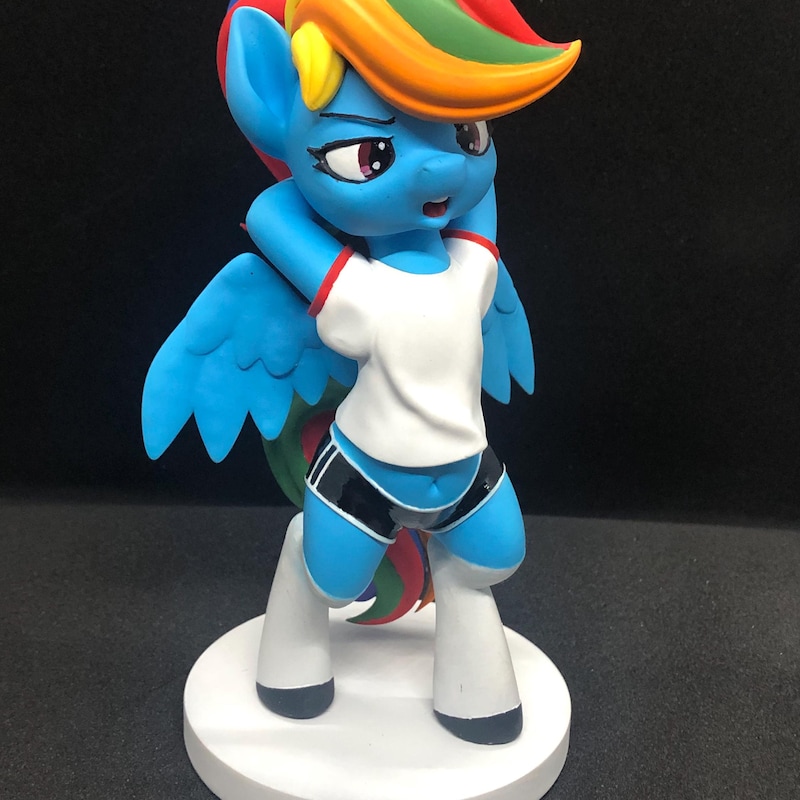 Dashie Plush - Etsy