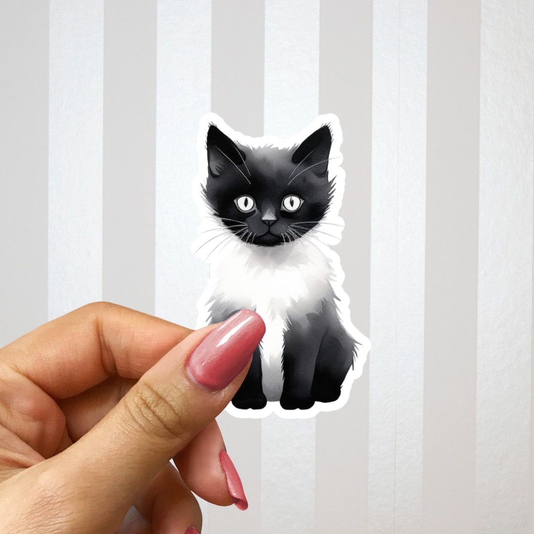 Black and White Cat Sticker, Gift for Cat Mom, Cat Dad, Kids, Teens ...